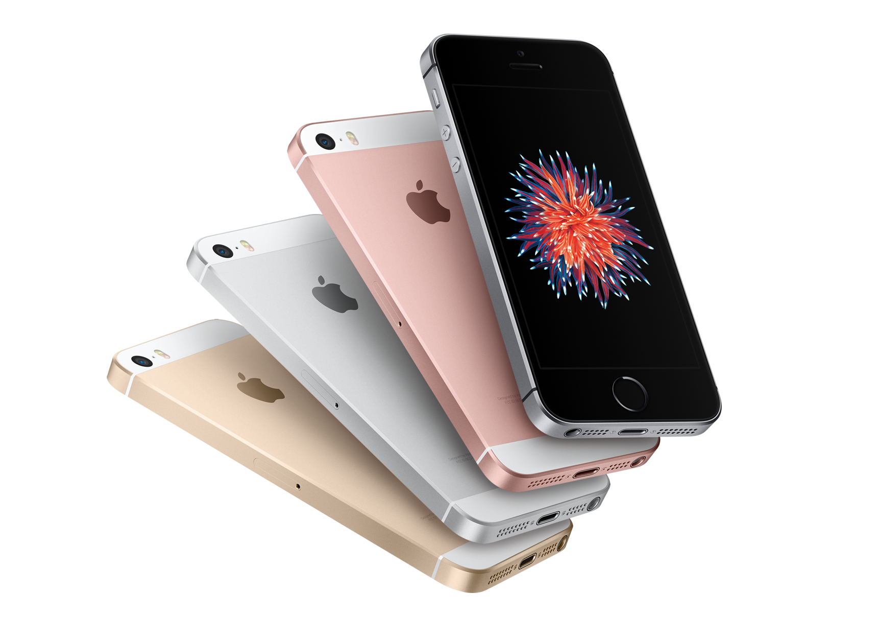 Apple iPhone SE - Notebookcheck.info